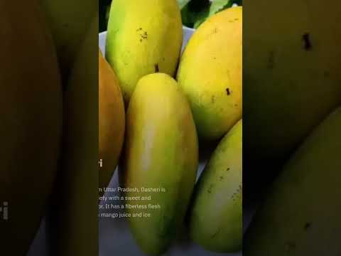 10 mango varieties of india