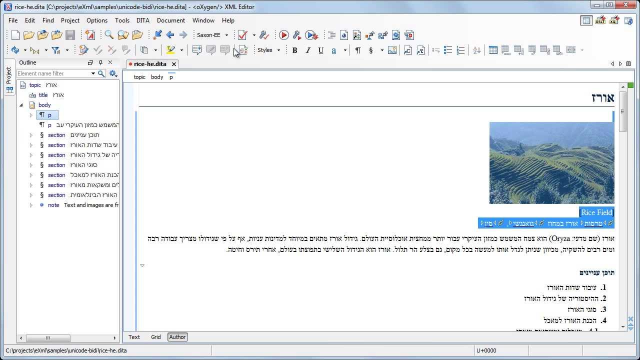 The Bidirectional Editing Support in oXygen XML Editor 15.1