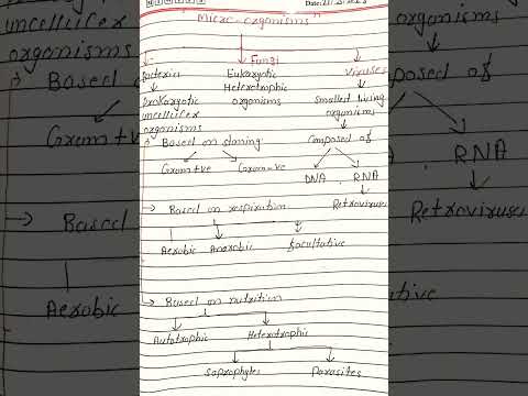 #what is micro organisms #and types of micro organisms #bacteria #fungi #and viruses