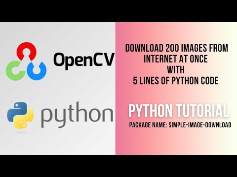 Download 200 Images from Internet with just 5 lines of Python Code