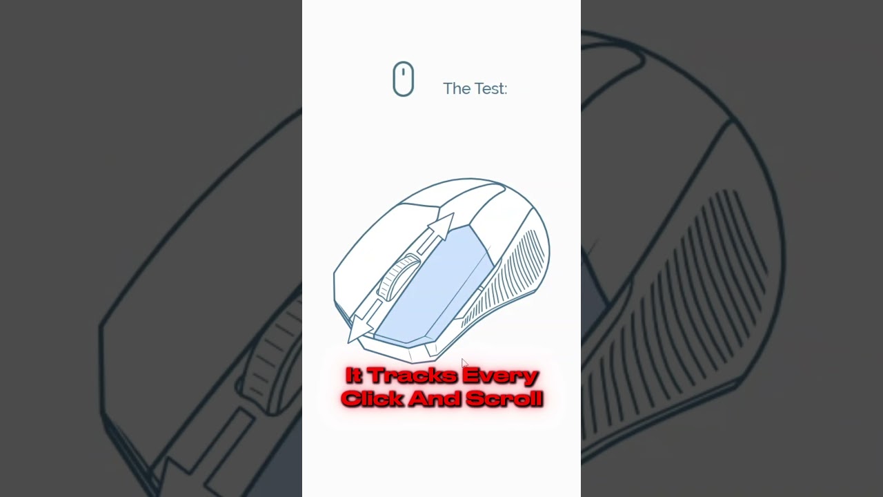 Test Your Mouse Online (All Buttons + Scroll Wheel Check)