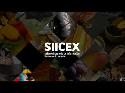 SIICEX :: Easy Export