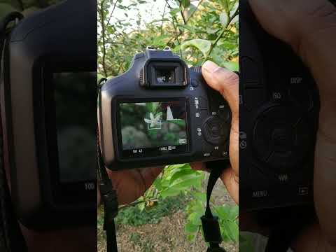 Canon 3000D Photography Test | Canon DSLR Camera Review 2023