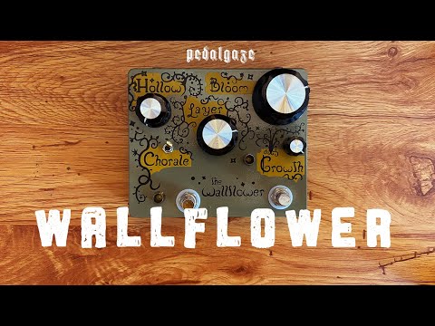 Hungry Robot Wallflower 2025 Shoegaze in a box | Reverb