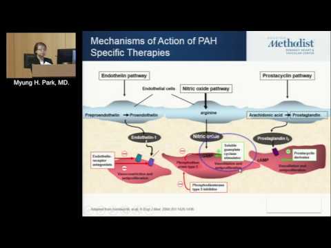 Overview (Myung H. Park, MD) MARCH 9-10, 2017