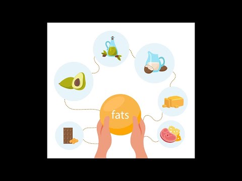 Saturated Fats: Friend or Foe!? The Science Behind Fat Metabolism