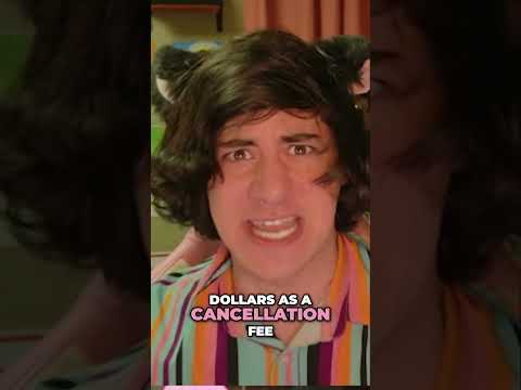 Buy Now Pay Later is a SPECIAL EVIL. #catboy #klarna #debt #debtfreejourney