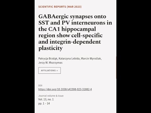GABAergic synapses onto SST and PV interneurons in the CA1 hippocampal region show ce... | RTCL.TV