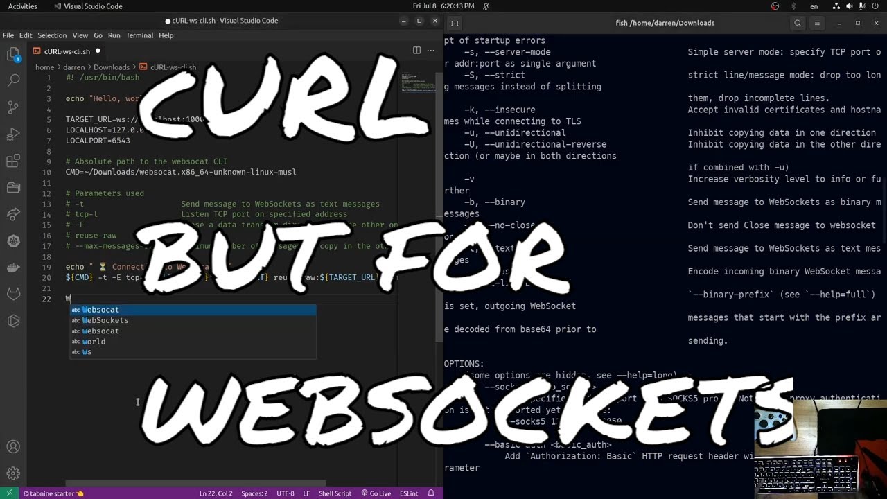 How to cURL but for websockets - Using websocat to perform ws requests via command line