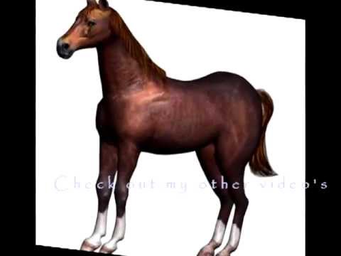 horse clipart
