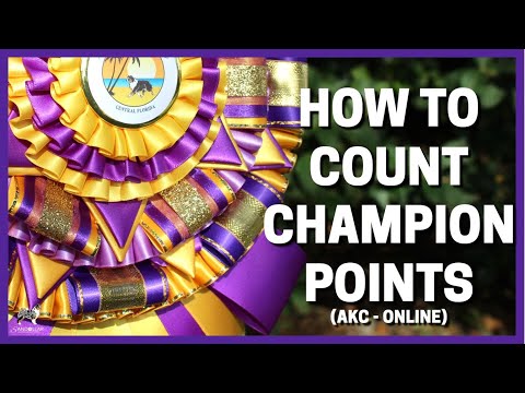 How To Count Champion Points