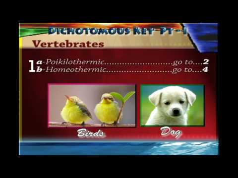 Introduction to DICHOTOMOUS KEY
