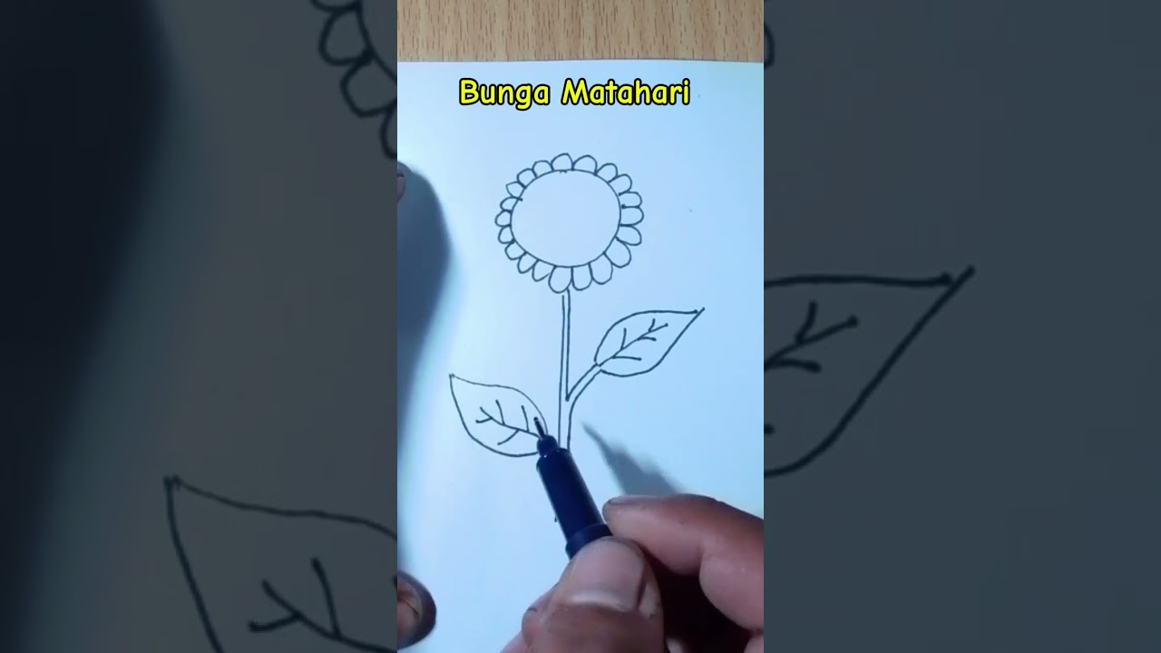 cara menggambar bunga matahari mudah dan cantik #gambaranak
