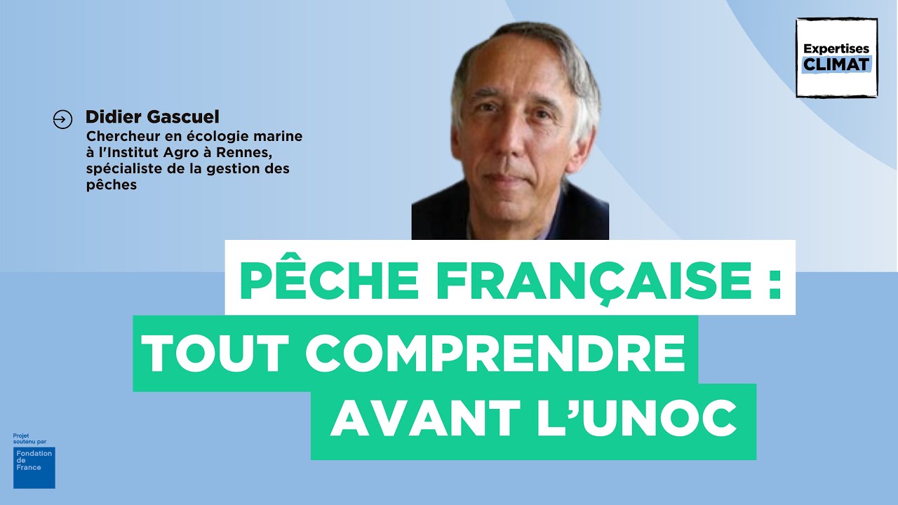 France Spotlights Ocean Research at UN Oce... | Gaya One