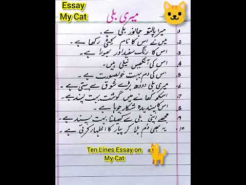 Ten Lines Essay on My Cat | Meri Billi Urdu Mazmoon|میری بلی اردو مضمون Viral Shorts| Trending video