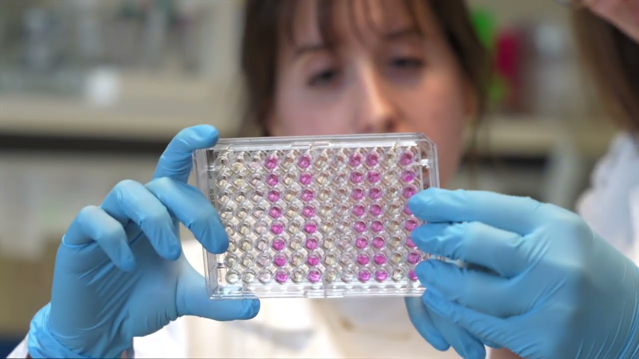 Microgravity Research: Zero Gravity. Infinite Possibilities.