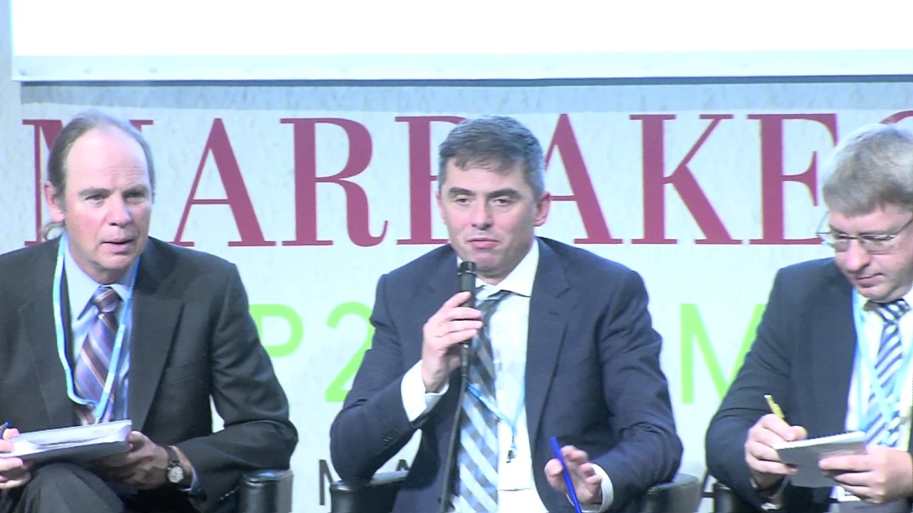 Mid-Century Strategies: The Deep Decarbonization Pathways Project