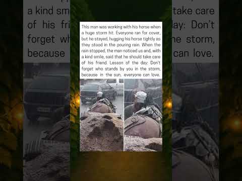 Man Stands By His Horse Through Storm