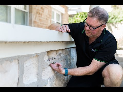 Why is salt damp such a big issue in South Australia?