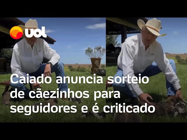 Caiado anuncia sorteio de filhotes de cachorro para seguidores