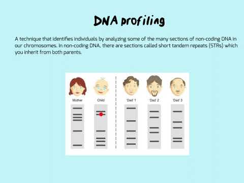 DNA profiling: how to answer questions on these diagrams