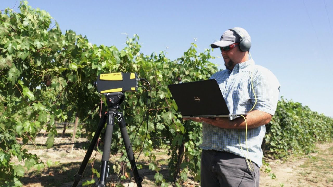 USDA-ARS ENTOMOLOGISTS “TURN UP THE BASS” ON VINEYARD PESTS