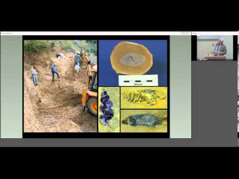 Exceptionally Preserved Fossils: Windows on the Evolution of Life