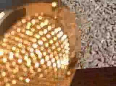 Feb 25 2008 - VID00015