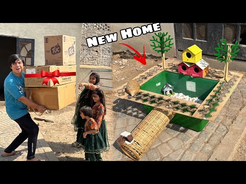 Subhan Ny Surprise Gift Da Dea 🎁 New Home
