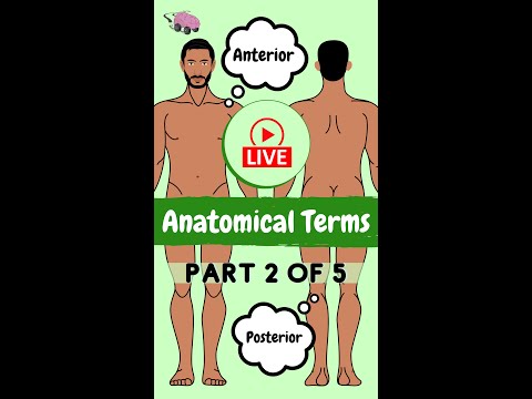 Anterior & Posterior [Anatomical Terms & direction]