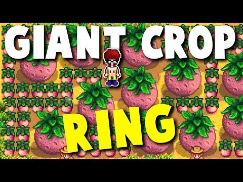 Giant Crop Ring! A faster way to make GIANT CROPS! | Stardew Valley Mods