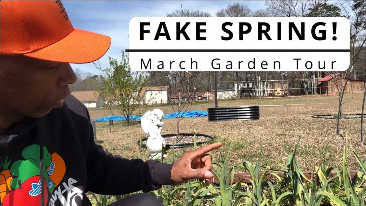 Fake Spring March Garden Tour
