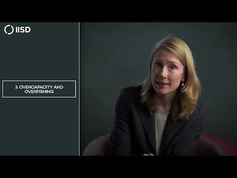 A Closer Look: Fisheries Subsidies Negotiations at the WTO