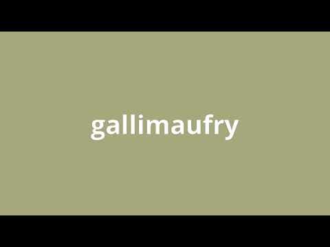 what is the meaning of gallimaufry