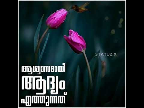 Malayalam sad Lyrical status Video Quotes | statuzix latest emotional love WhatsApp status