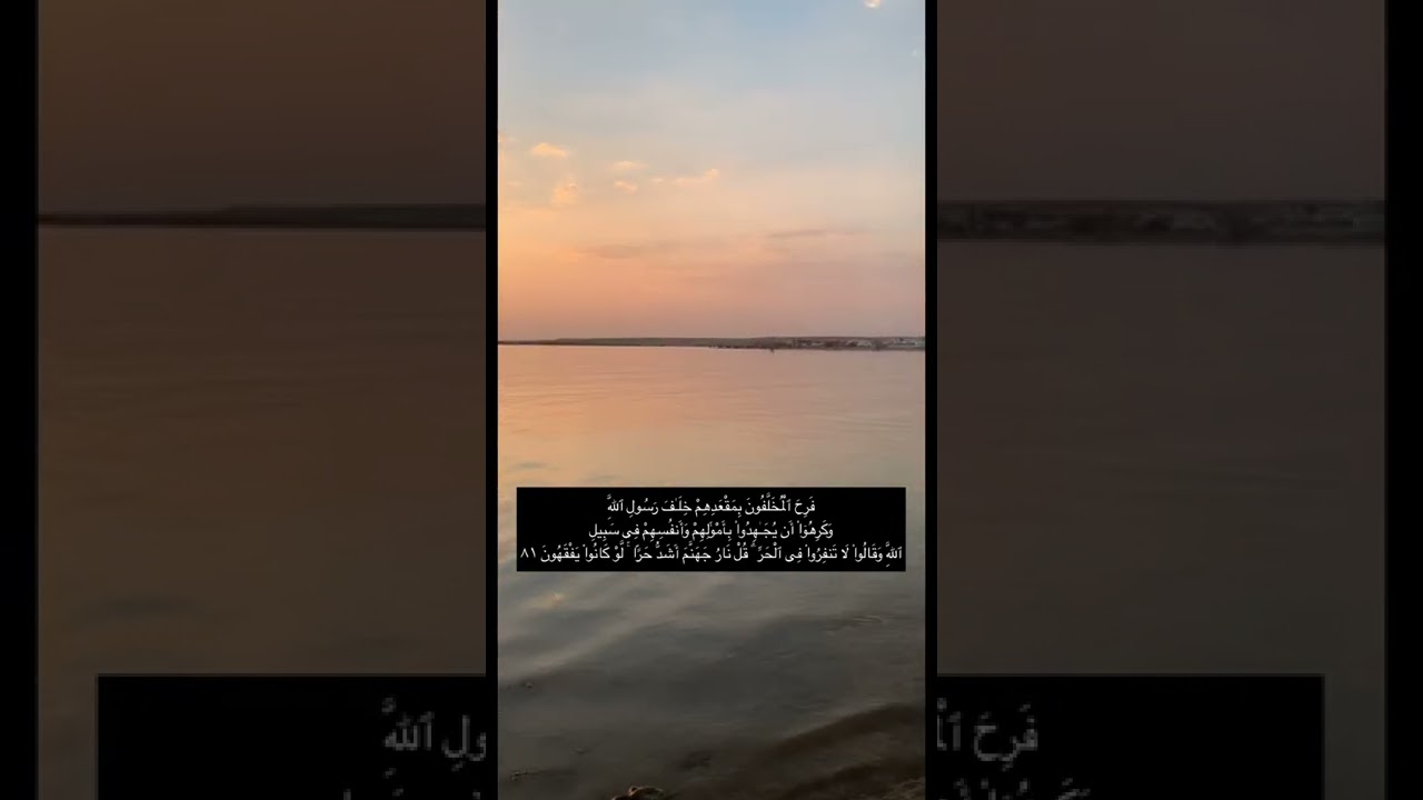 Surah Tawbah recited by Ahmed Al Agami
