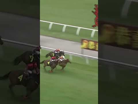 Top show , great winner @ Selangor turf club #horseracing by jockey L De Souza