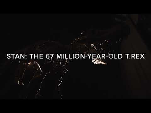 Natural History Museum Abu Dhabi | Opens 2025 | Experience Abu Dhabi