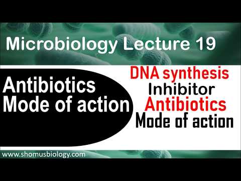 DNA synthesis inhibitors antibiotics | mode of action