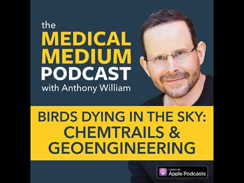 101 Birds Dying In The Sky: Chemtrails & Geoengineering