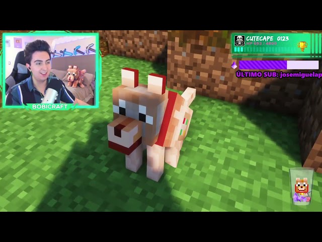 Comandiu textura original de Bobicraft #MinecraftMania Minecraft ...