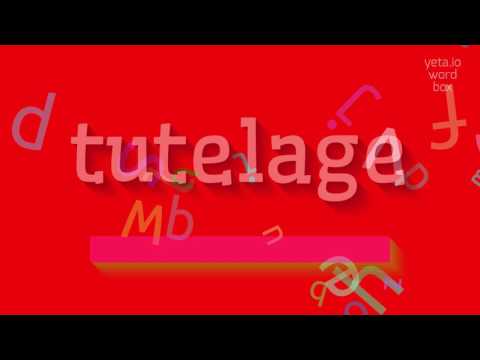 How to say "tutelage"! (High Quality Voices)