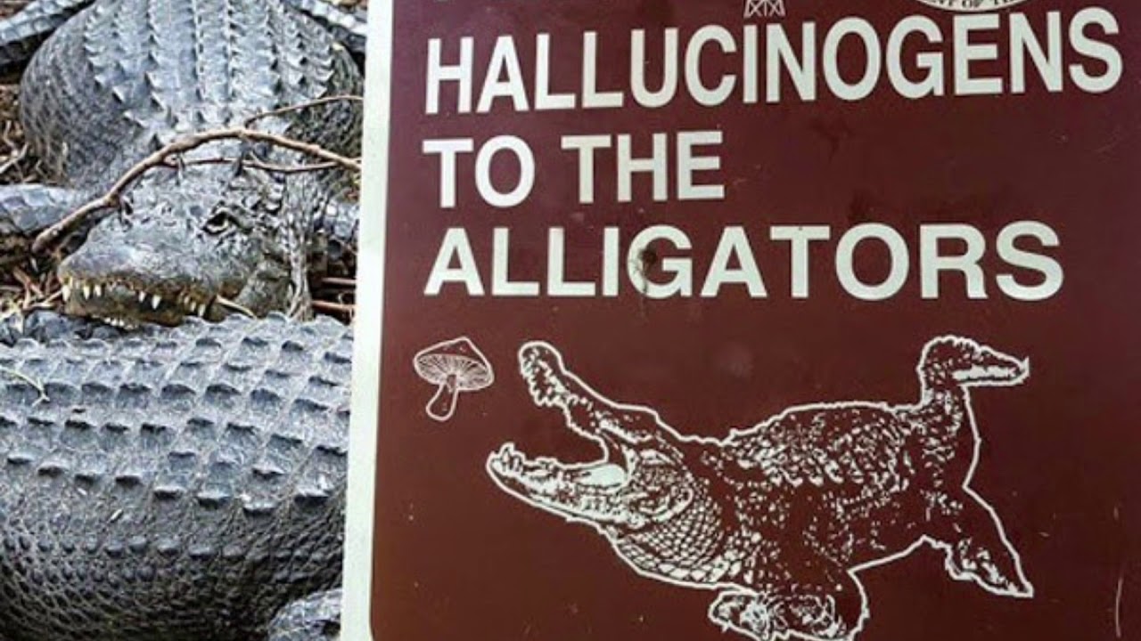 Reading Funny Signs CCCXVII
