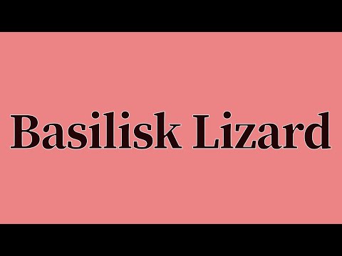 Basilisk Lizard Pronunciation and Meaning