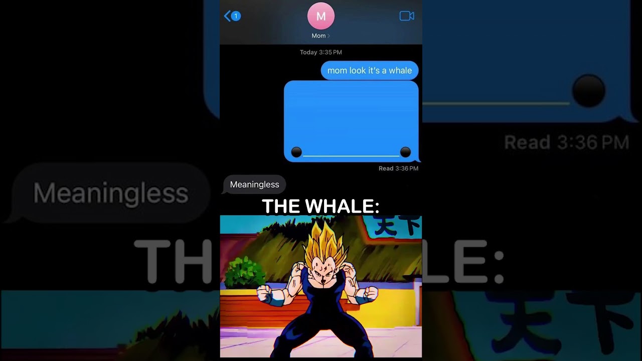 Vegeta Crashout
