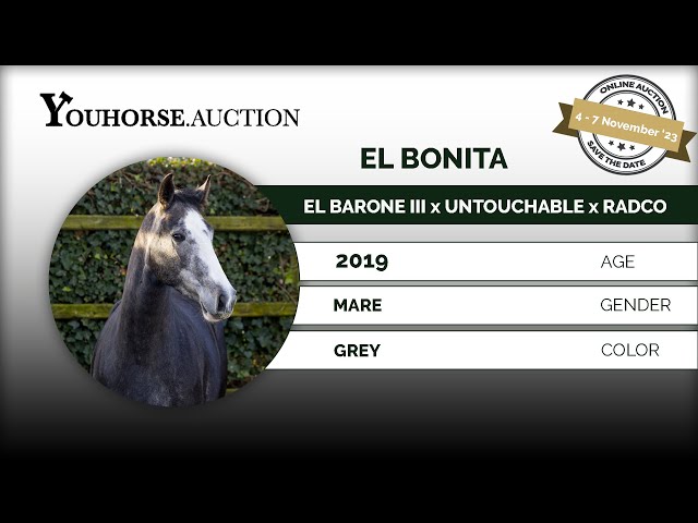 Youhorse.auction | El Bonita