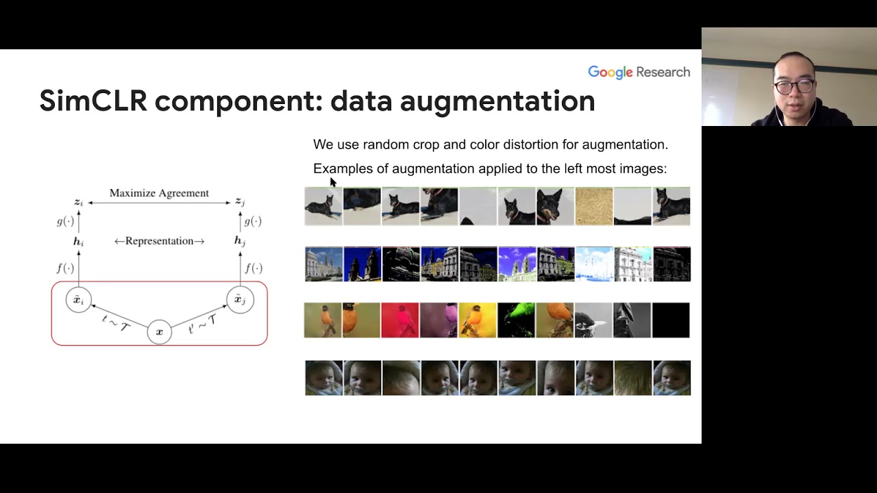 Contrastive Self-Supervised Learning and Potential Limitations - Dr Ting Chen from Google Brain