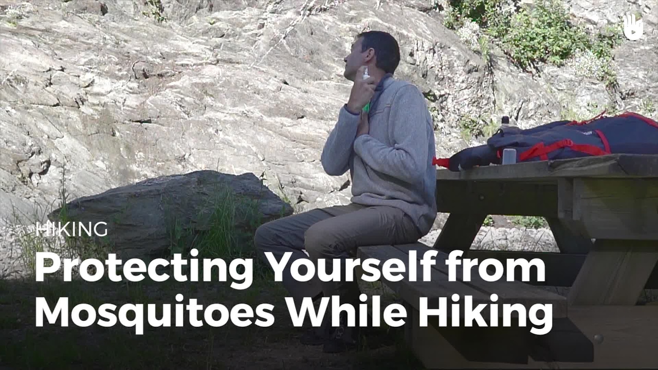 Learn about Bug Protection When Backpacking - Learn About Hiking | Sikana