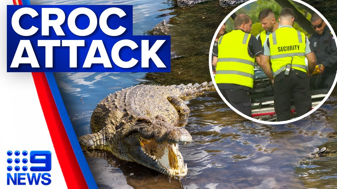 Queensland man rushed to hospital after crocodile attack | 9 News Australia