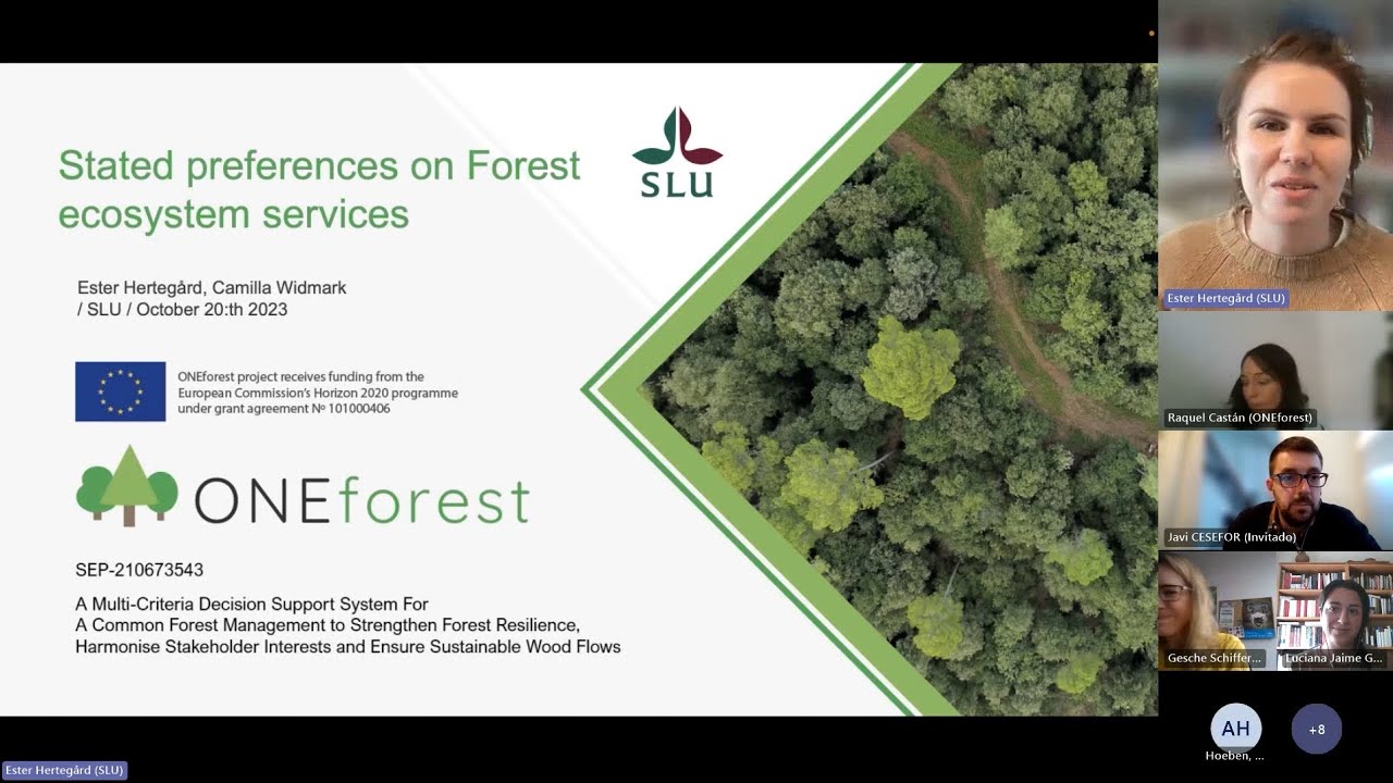 Webinar: Stated preferences on forest ecosystem services